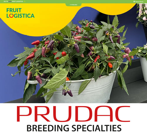 Fruit Logistica 2024 – – Prudac