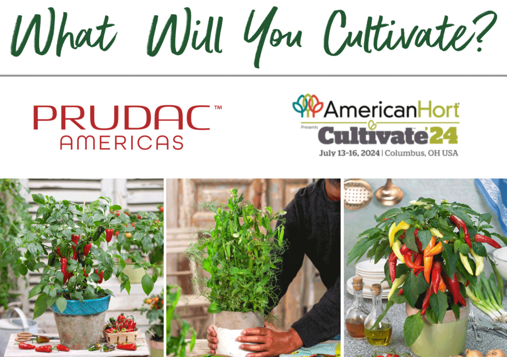 Cultivate’24 – – Prudac
