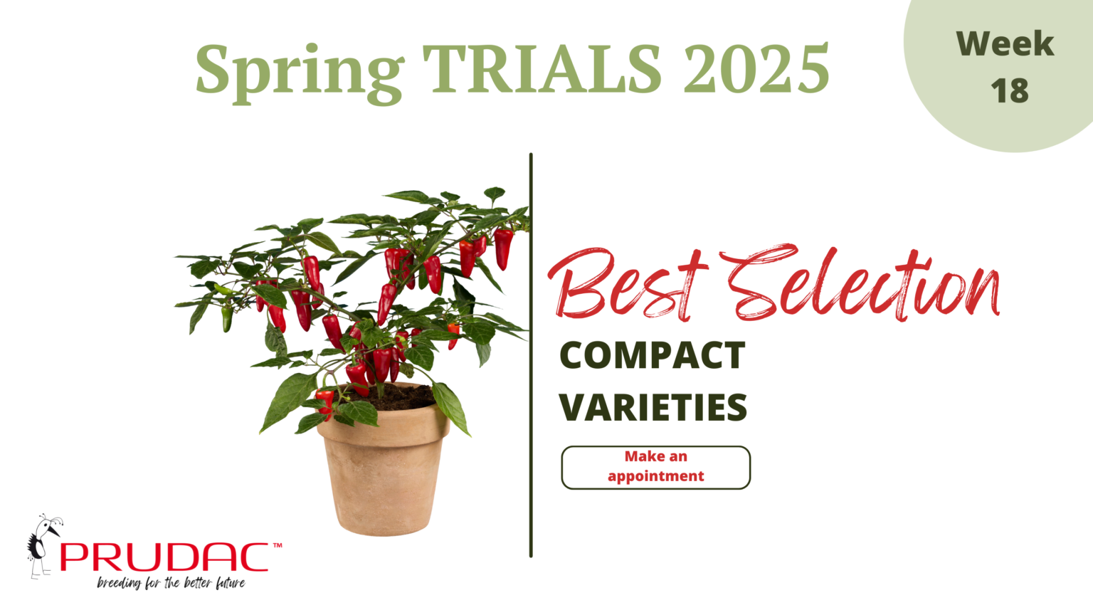 Prudac – Breeding Specialties